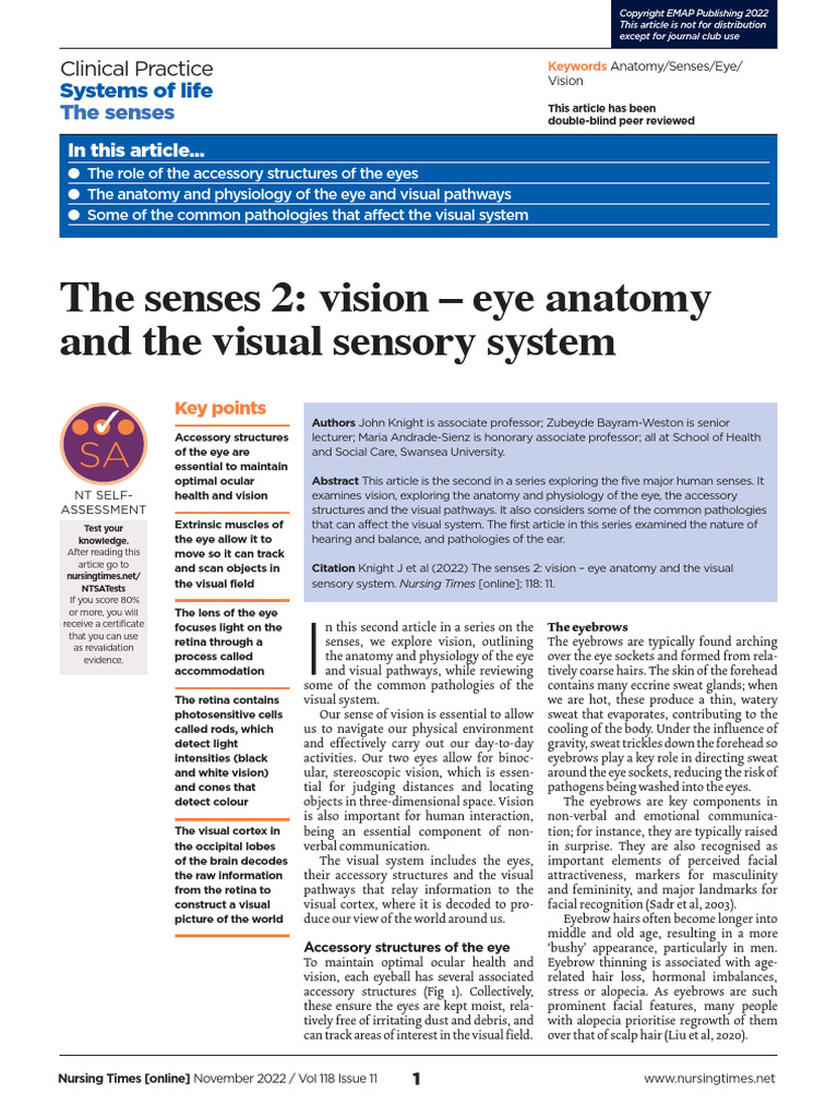 Anatomy and Physiology of Vision | PDF | Visual System | Eye