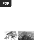 Geoguide 2: Ground Investigation Insights | PDF | Geology | Rock (Geology)