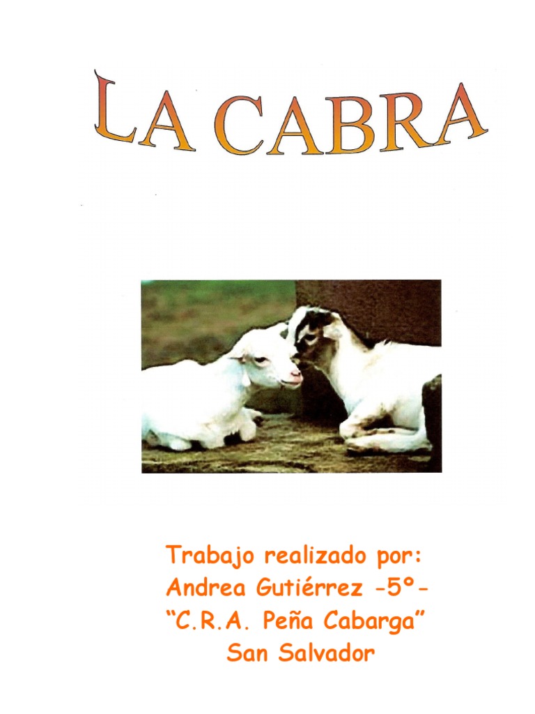 Características y Productos de la Cabra | PDF | Cocina, comidas y vino ...