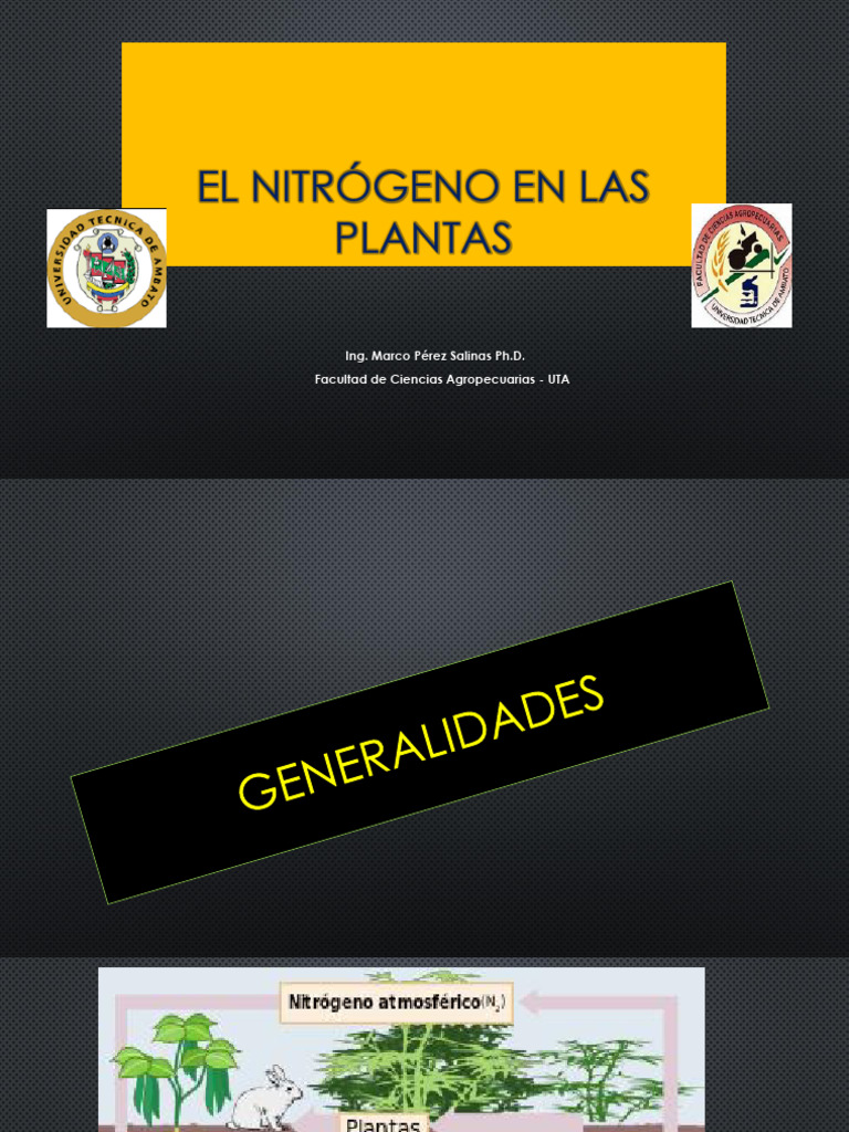 El Nitrogeno | PDF | Amonio | Nitrato