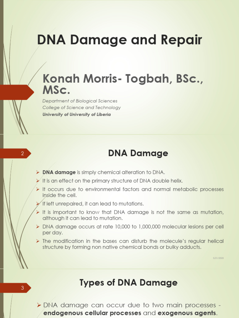 DNA Damage Mechanisms and Repair Processes | PDF | Dna Repair | Dna