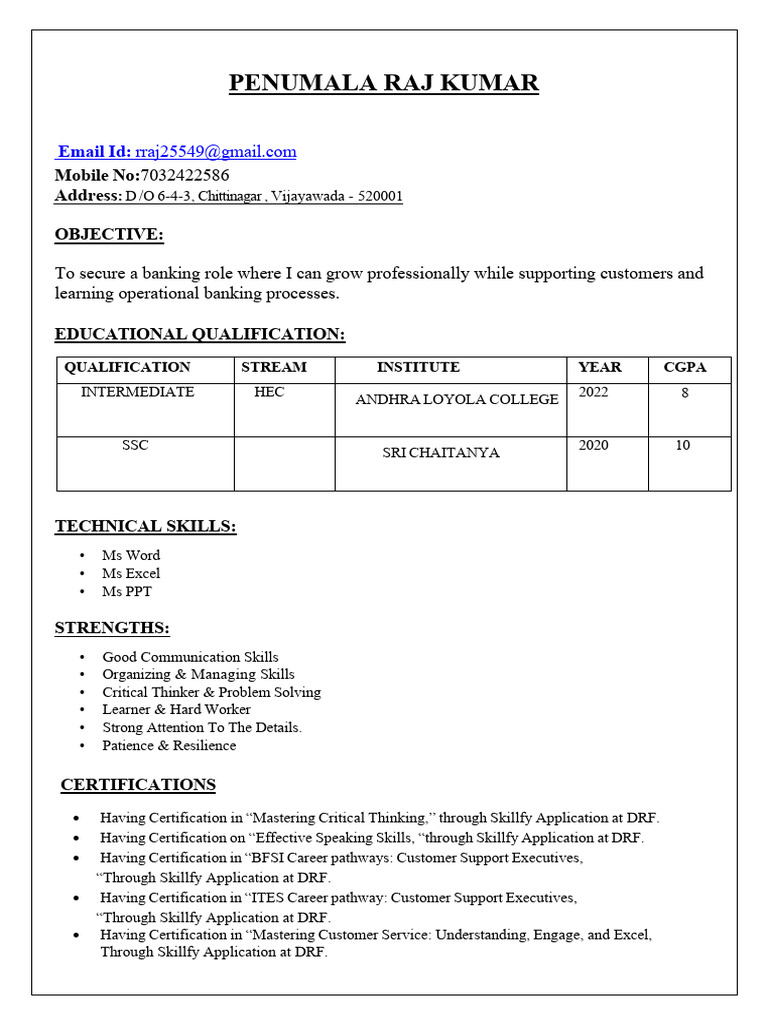 Raj Resume | PDF