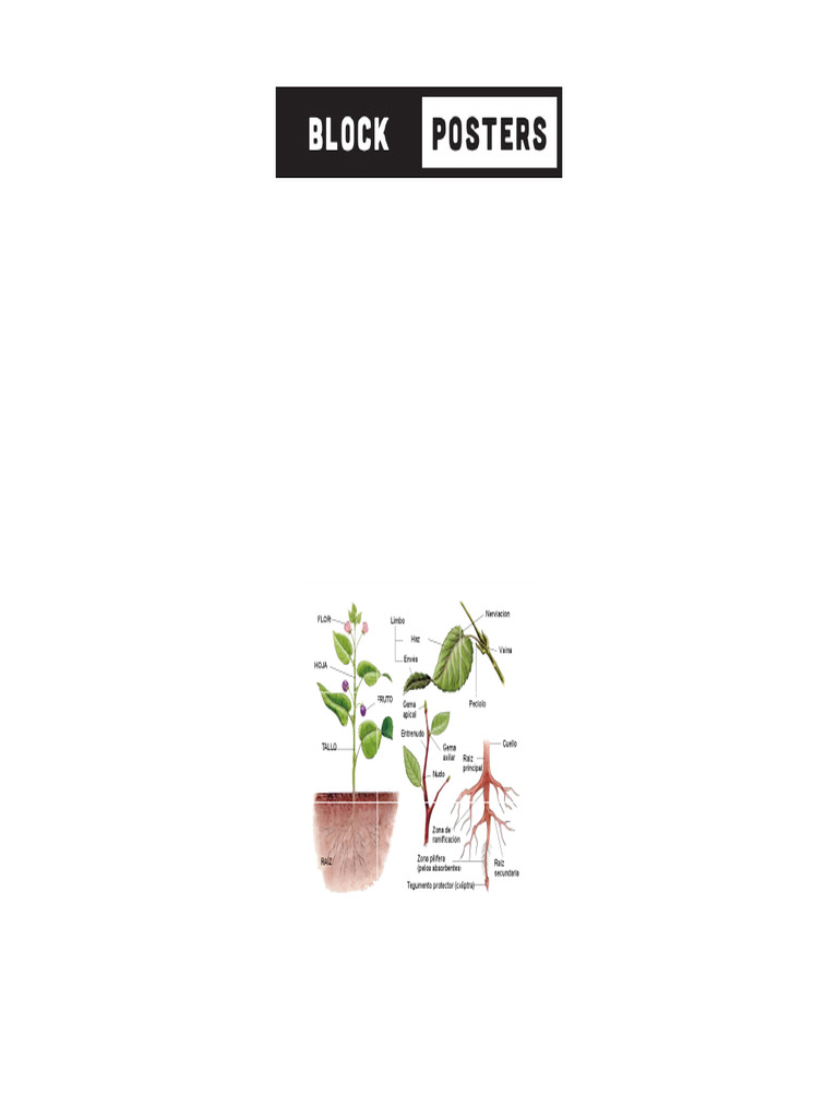Create a Block Poster in A4 Landscape | PDF