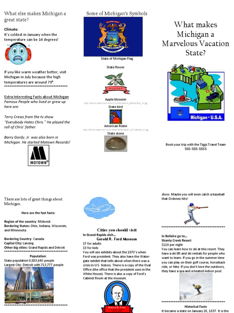 State Project Brochure v.2 | PDF | Michigan | Detroit