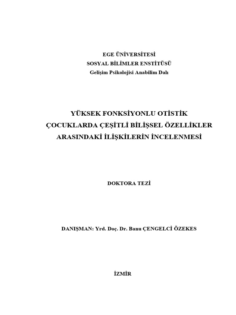 Tez Selin Atasoy | PDF