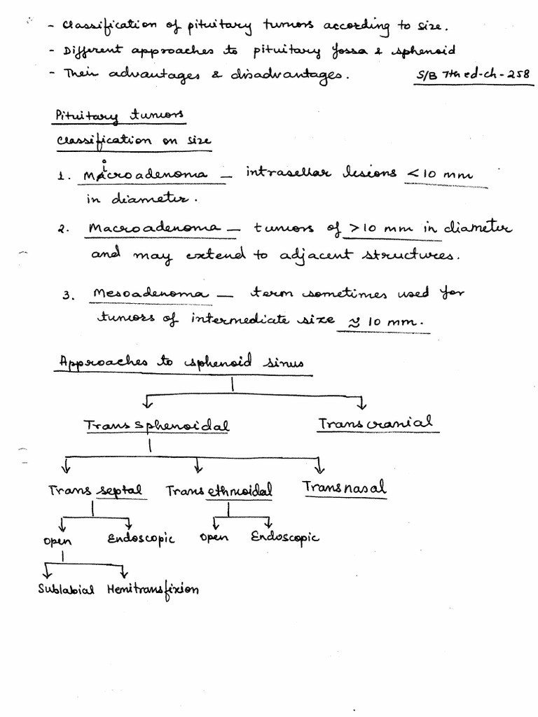 Sphenoid and Pituitary Approaches | PDF
