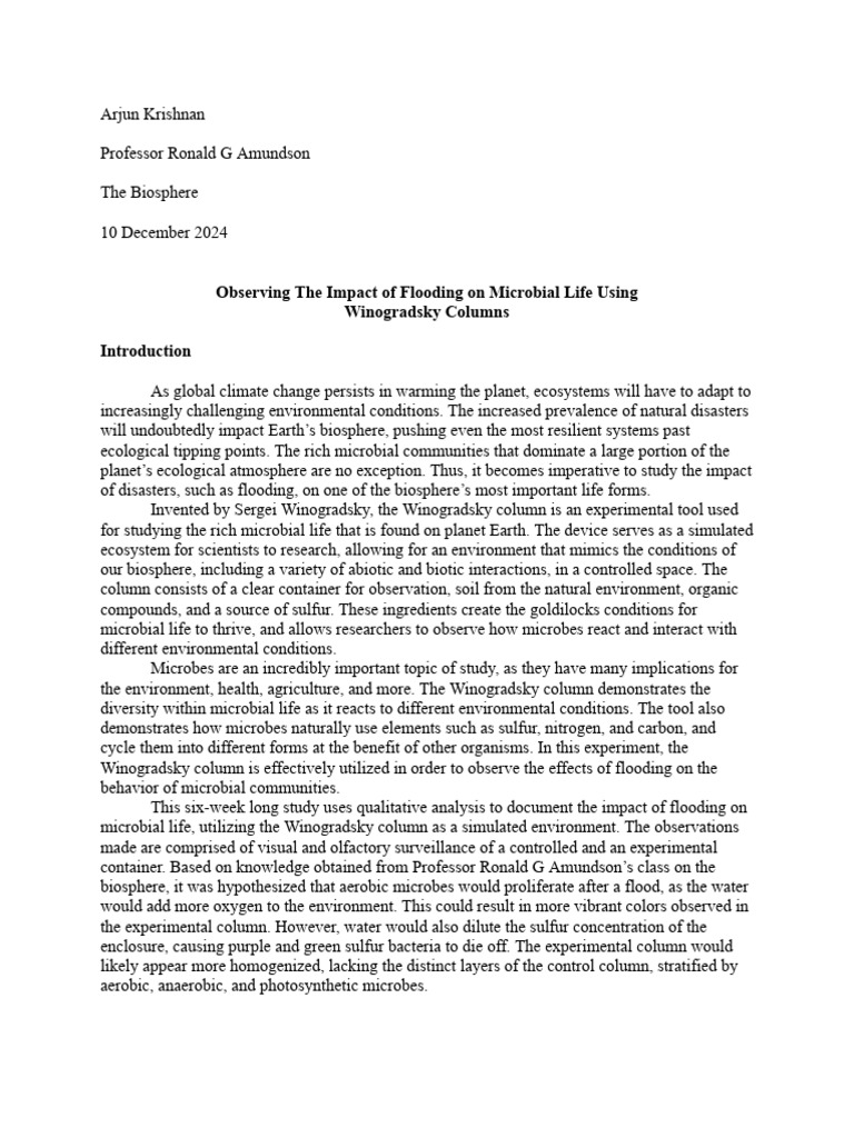 Winogradsky Column Report | PDF | Ecosystem | Natural Environment