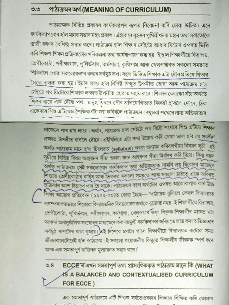 ECCE Unit 3 - Compressed | PDF