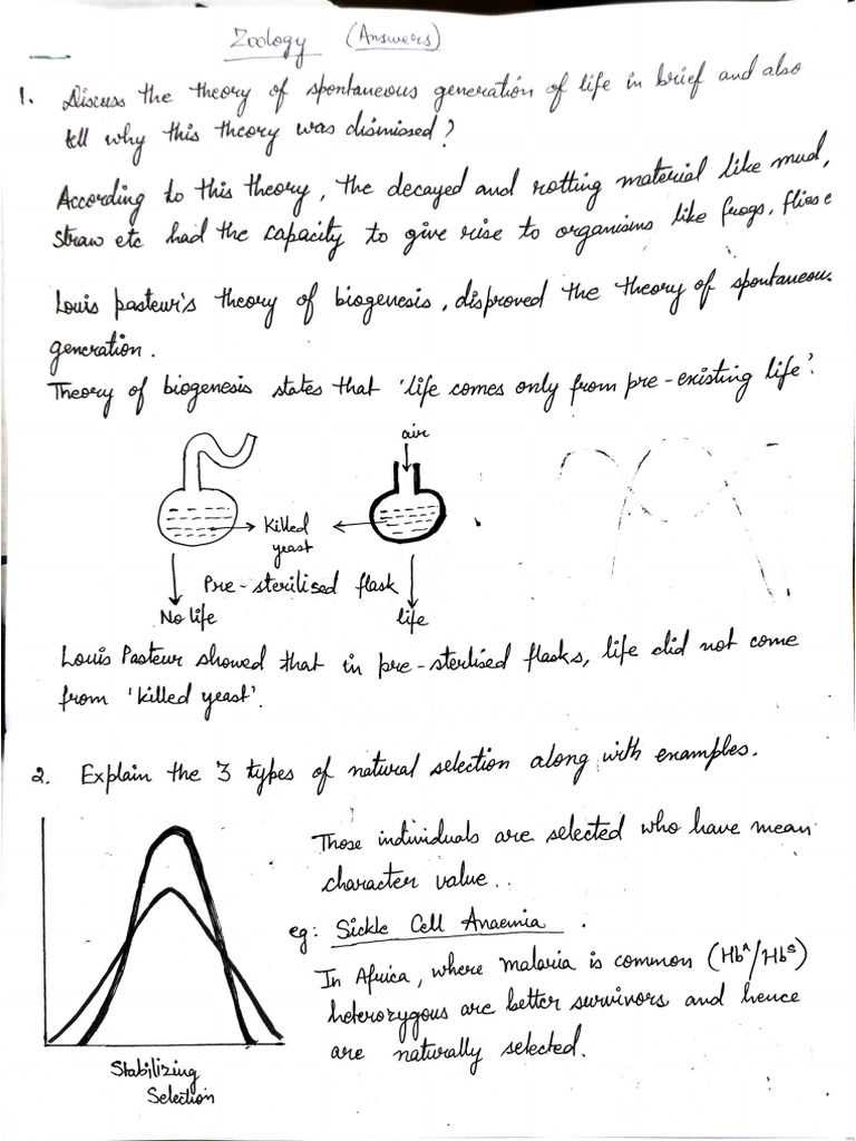 Biology Answer Key (Subjective-2) | PDF