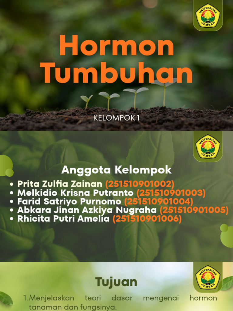 Hormon Tanaman dan Solusi Stres Fisiologis | PDF