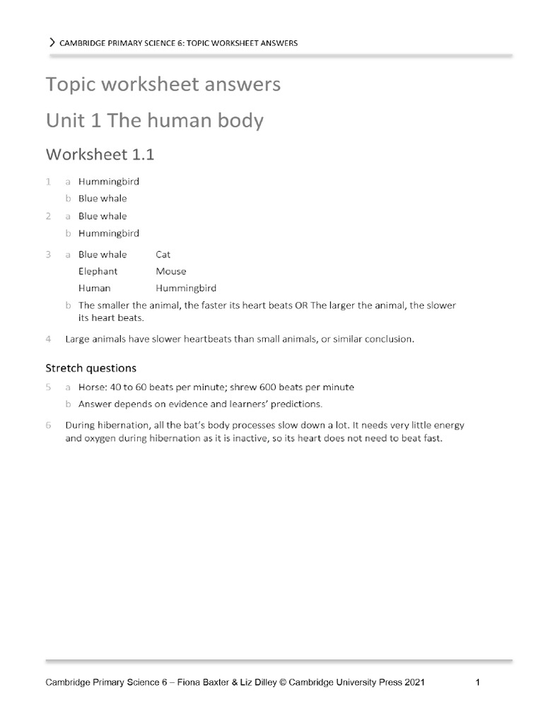 Cambridge Primary Science 6 Worksheet Answers | PDF