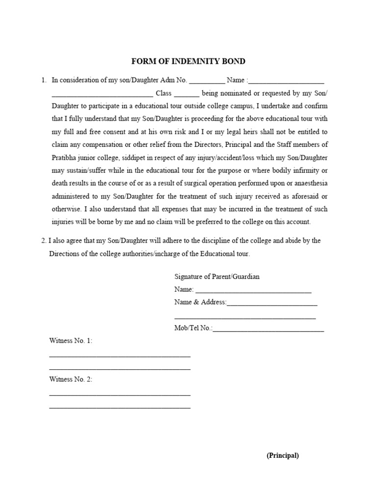 How to Complete Indemnity Bond Form | PDF