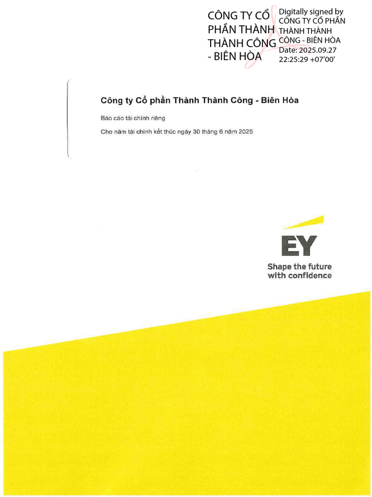 SBT - BCTC Rieng - FY - 2024-2025 | PDF