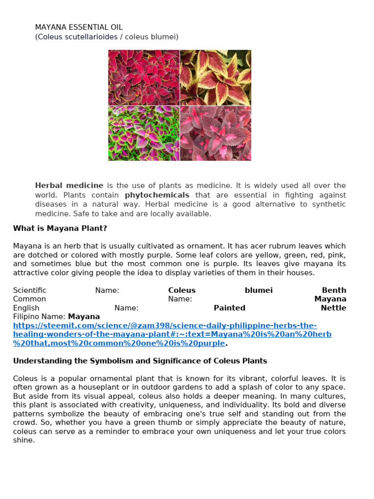 Mayana Essential Oil | PDF | Cardiovascular Diseases | Heart