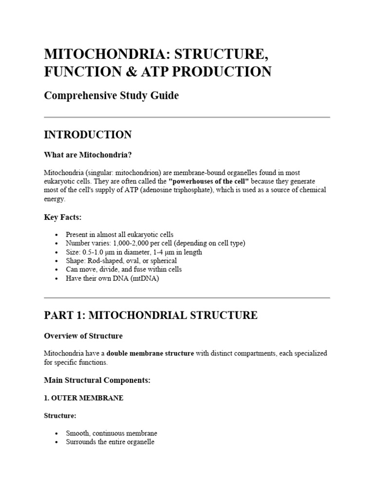Mitochondria: Structure & ATP Function | PDF | Mitochondrion | Electron ...