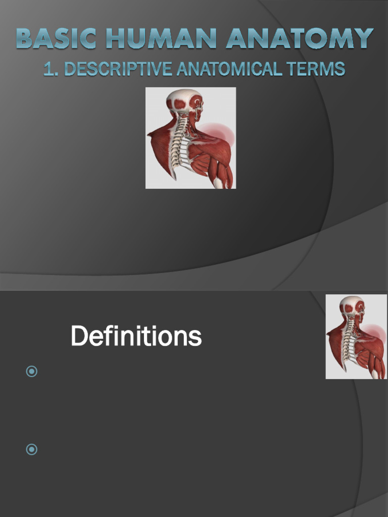2025-07-07 Basic Human Anatomy 1 - (Dr. Himan) | PDF | Anatomical Terms ...