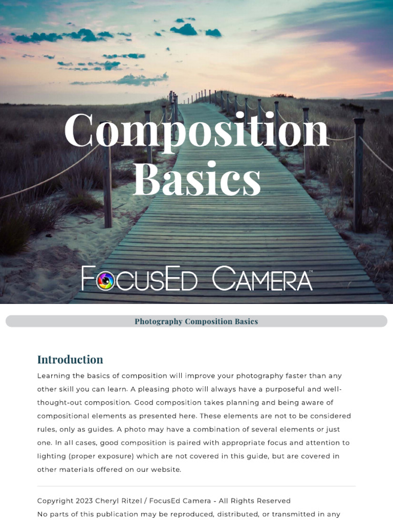 Photography Composition Essentials Guide | PDF | Composition (Visual ...
