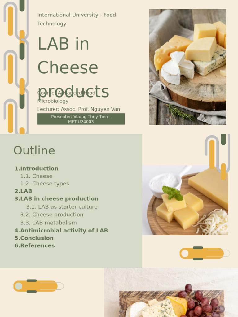 LAB in Cheese Production and Safety | PDF | Cheese | Milk