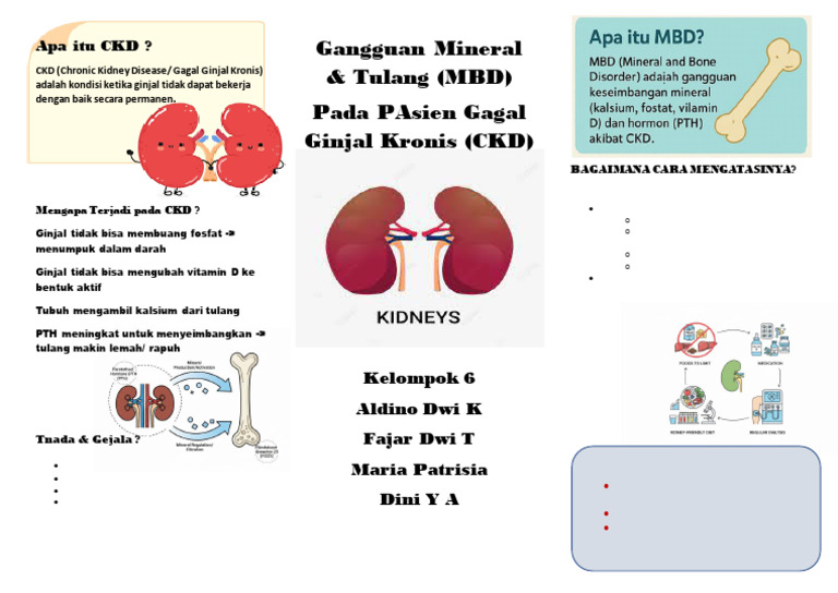 Leaflate MBD | PDF