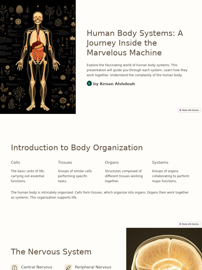 Human Body Systems A Journey Inside The Marvelous Machine | PDF | Human ...
