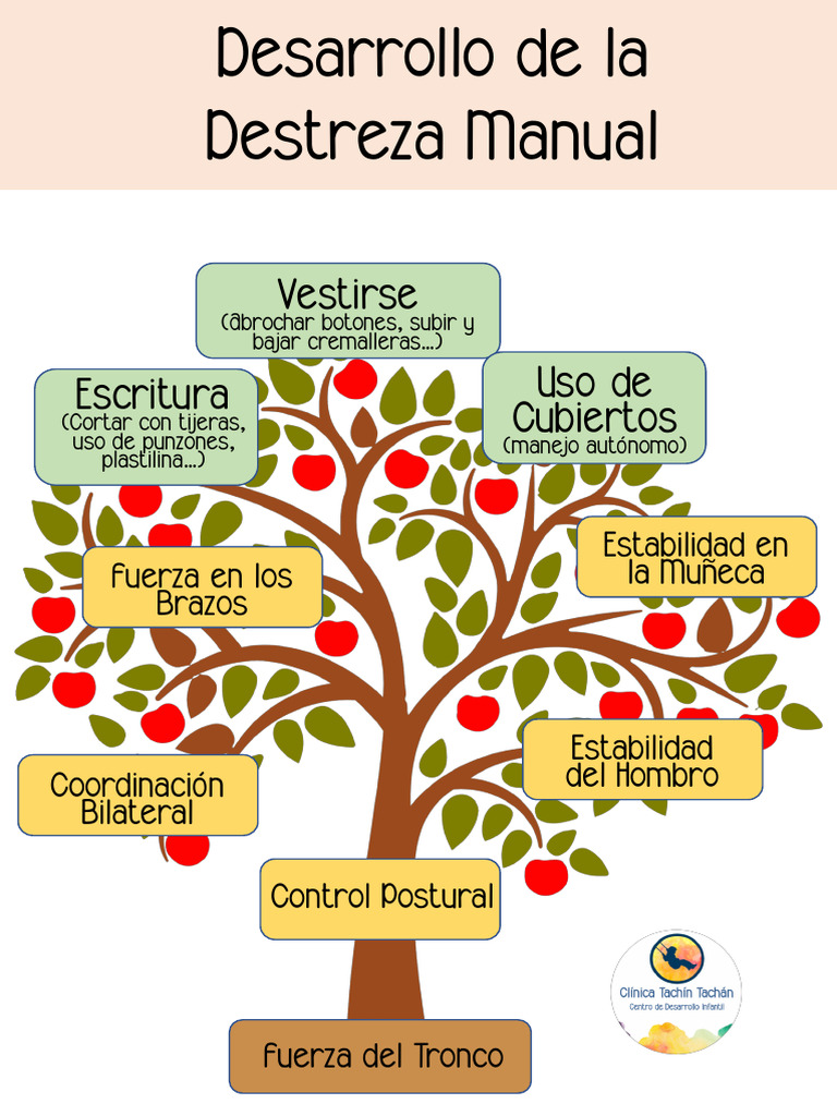 Desarrollo de La Destreza Manual | PDF