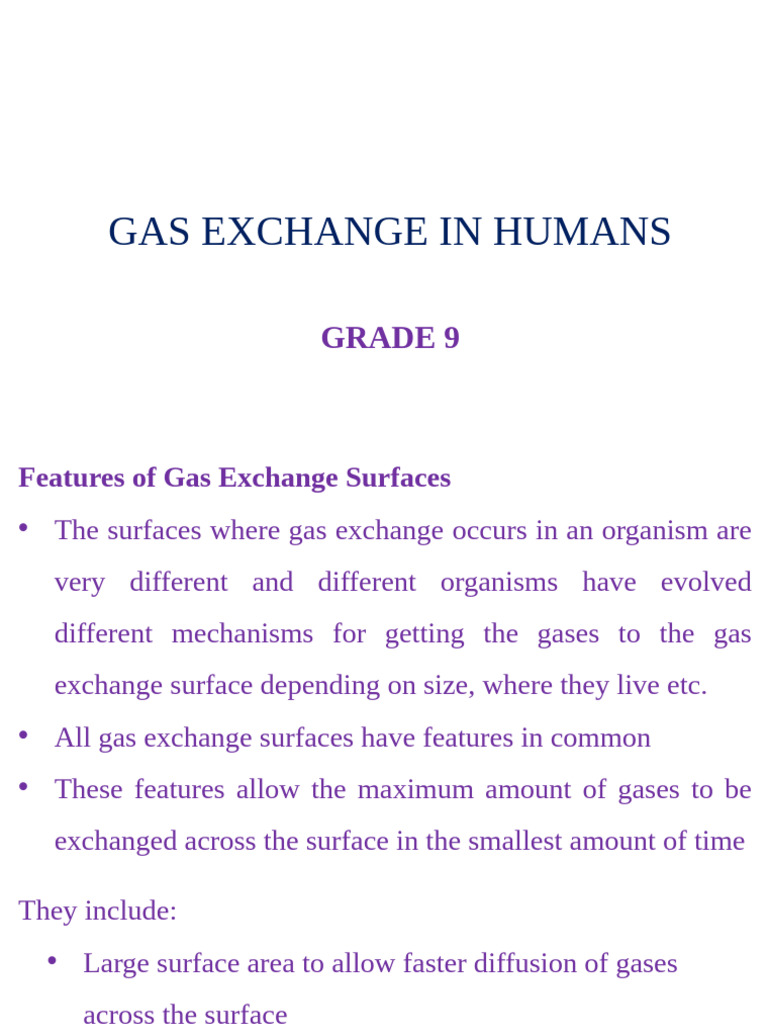 Chapter 11 Gas Exchange in Humans | PDF | Breathing | Exhalation