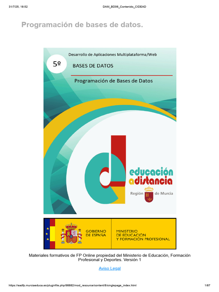 BD Tema 5 Programación | PDF | Lenguaje de programación | Pl / Sql