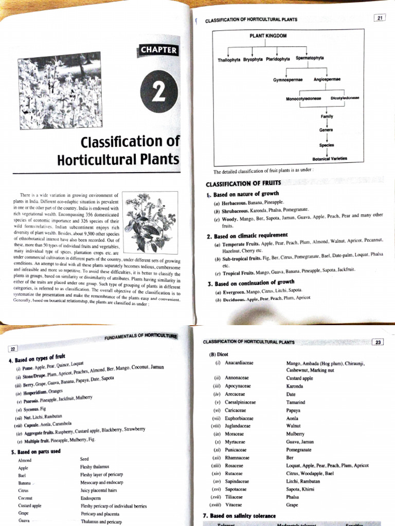 Classification of Horticultural Plants | PDF | Vegetables | Spice