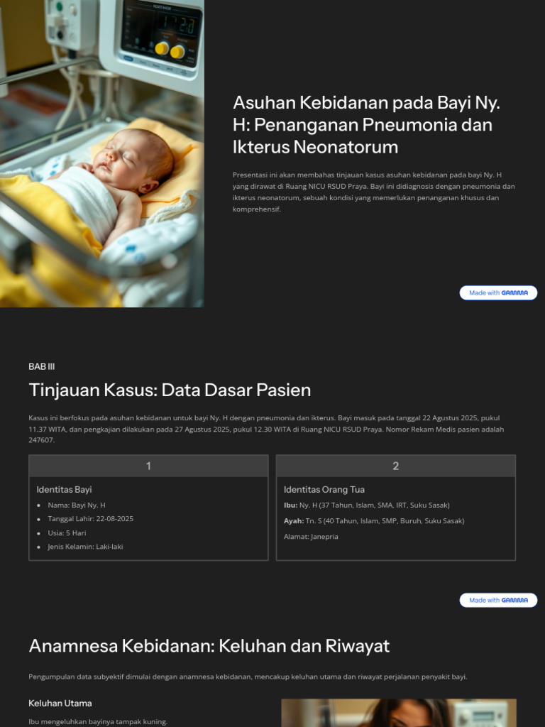Asuhan Kebidanan Pada Bayi Ny H Penanganan Pneumonia Dan Ikterus ...