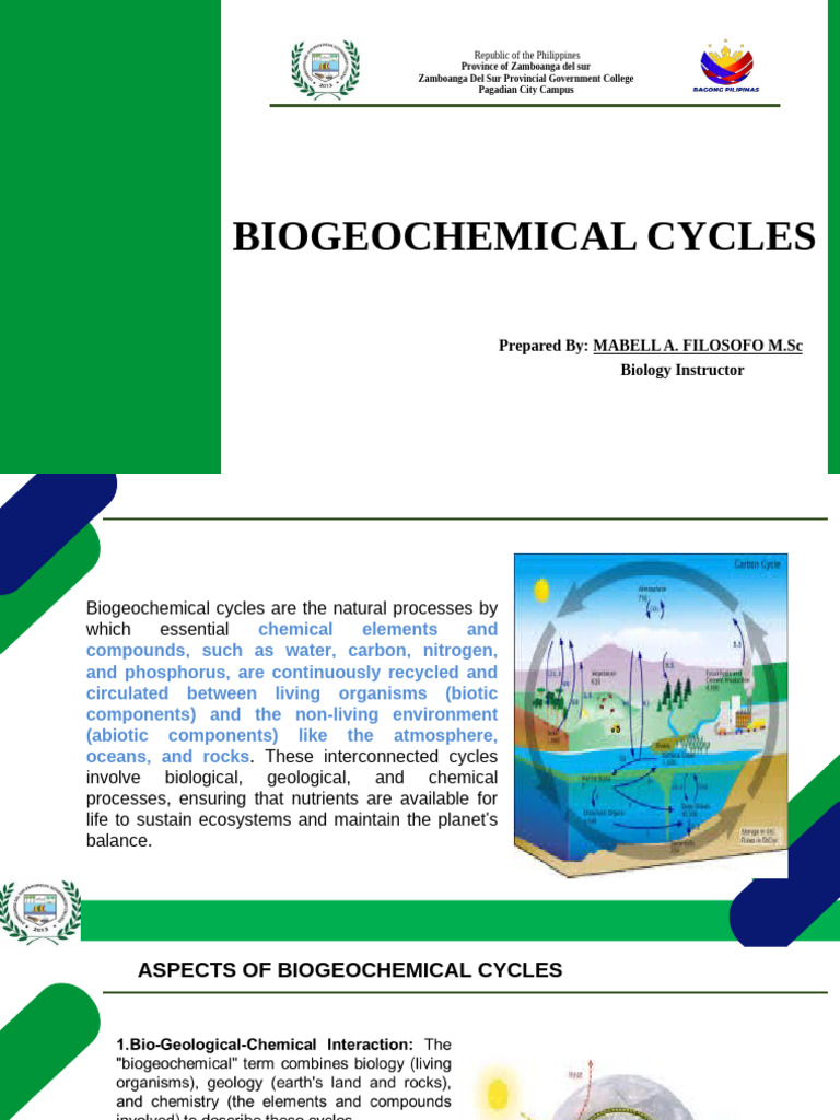Understanding Biogeochemical Cycles | PDF | Sulfur | Ecosystem