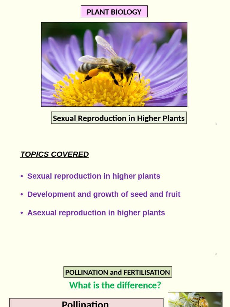 Reproduction of Higher Plants | PDF | Pollination | Fertilisation