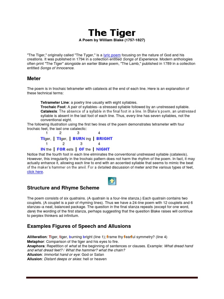 The Tiger | PDF | Metre (Poetry) | Poetry