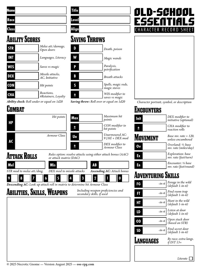 Character Record Sheet for RPG | PDF | Game Rules | D20 System