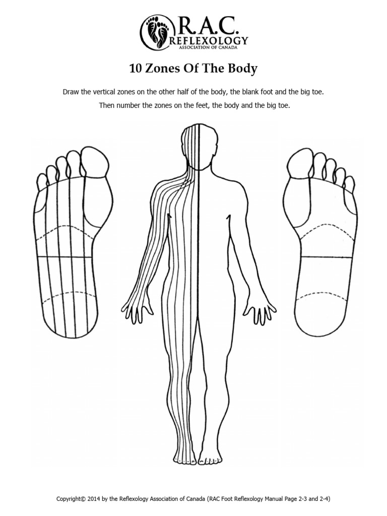Chapter 2 - 10 Zones of The Body - WORKSHEET | PDF