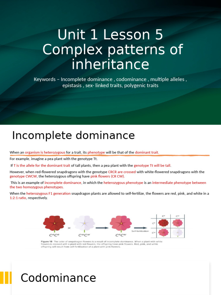 Unit 1 Lesson 5 Complex Patterns of Inheritance | PDF | Dominance ...