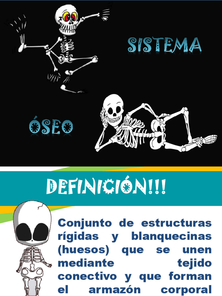 Estructura y Funciones del Sistema Óseo | PDF | Hueso | Articulación