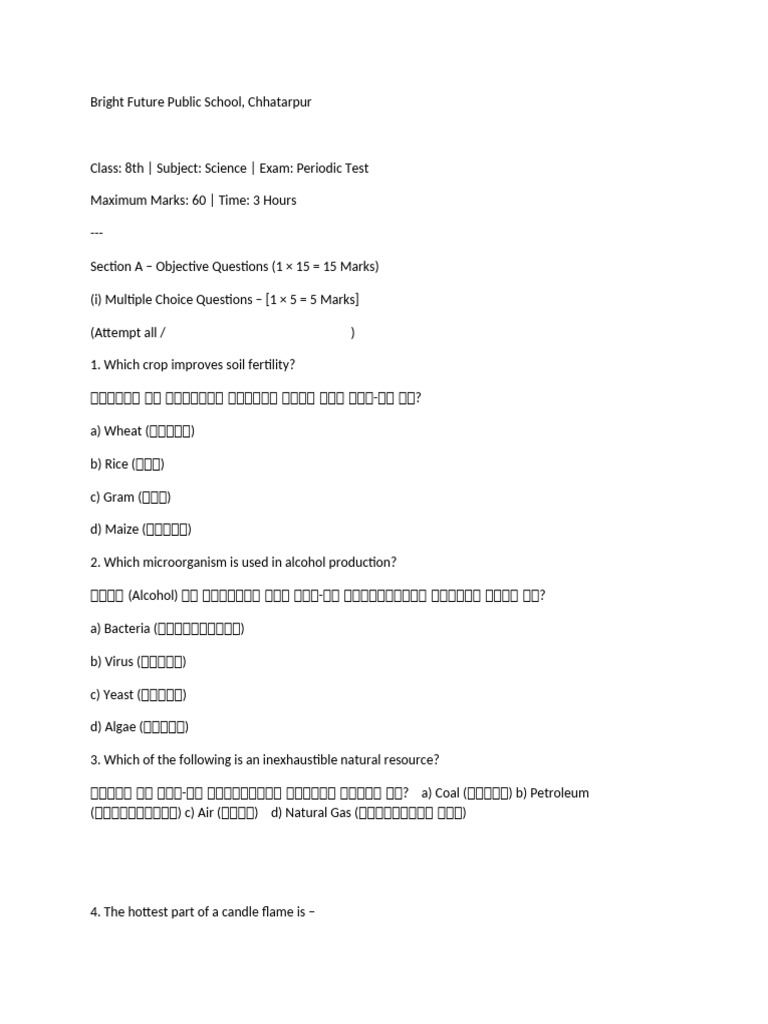 Bright Future P-WPS Office | PDF