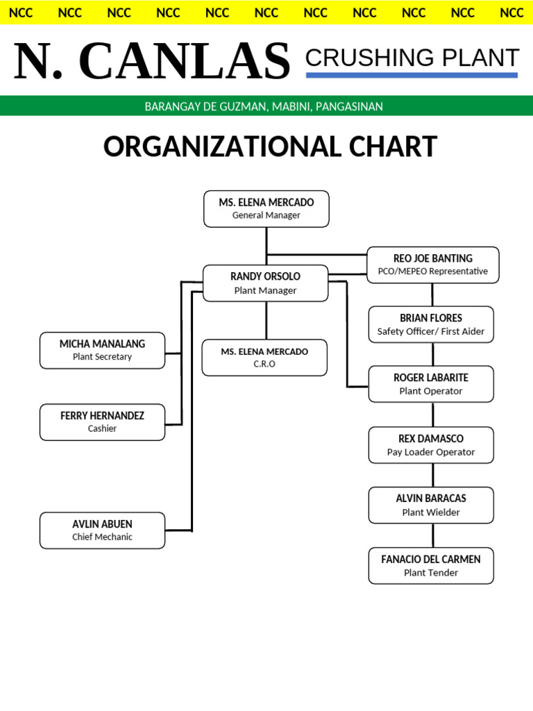 NCC Organizational Chart Overview | PDF