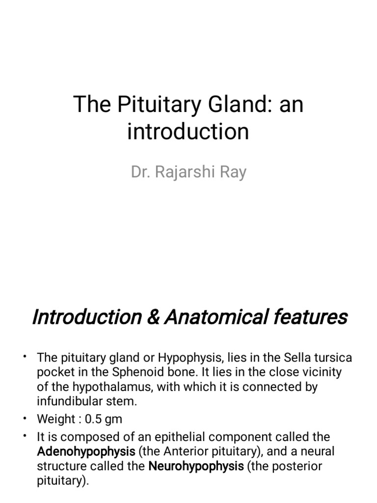 Pituitary Gland Introduction | PDF | Pituitary Gland | Hypothalamus