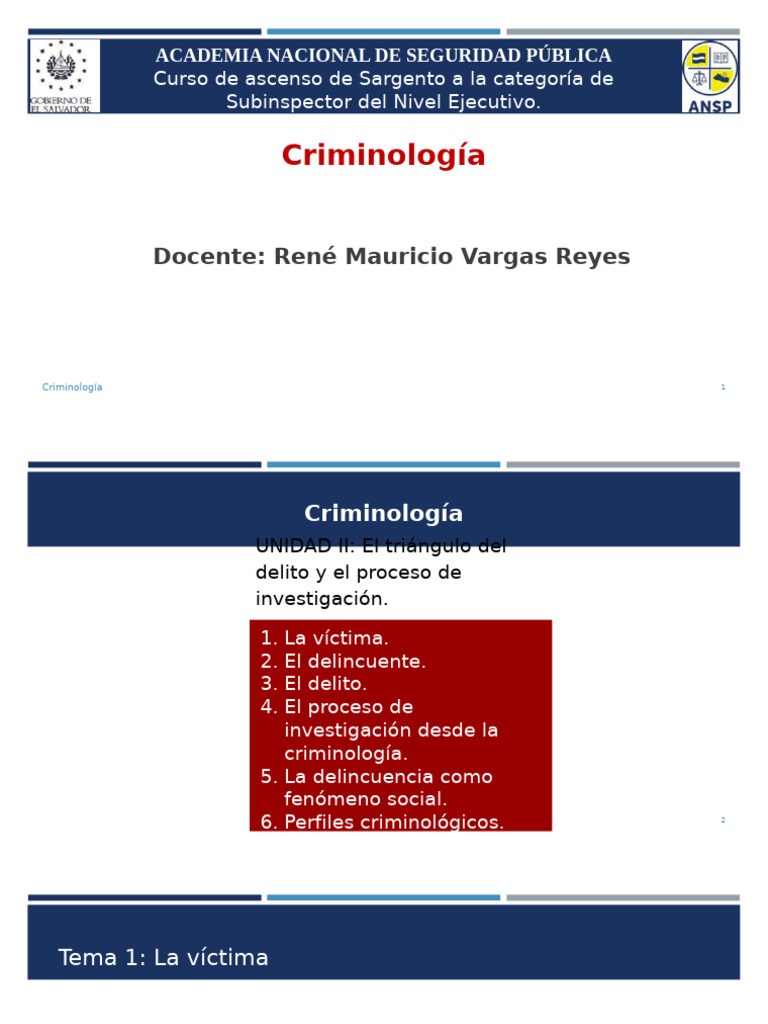 Unidad Dos El Triángulo Del Delito y El Proceso de Investigación | PDF ...
