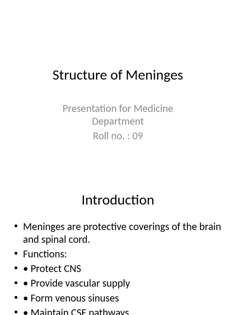 Structure of Meninges Presentation | PDF