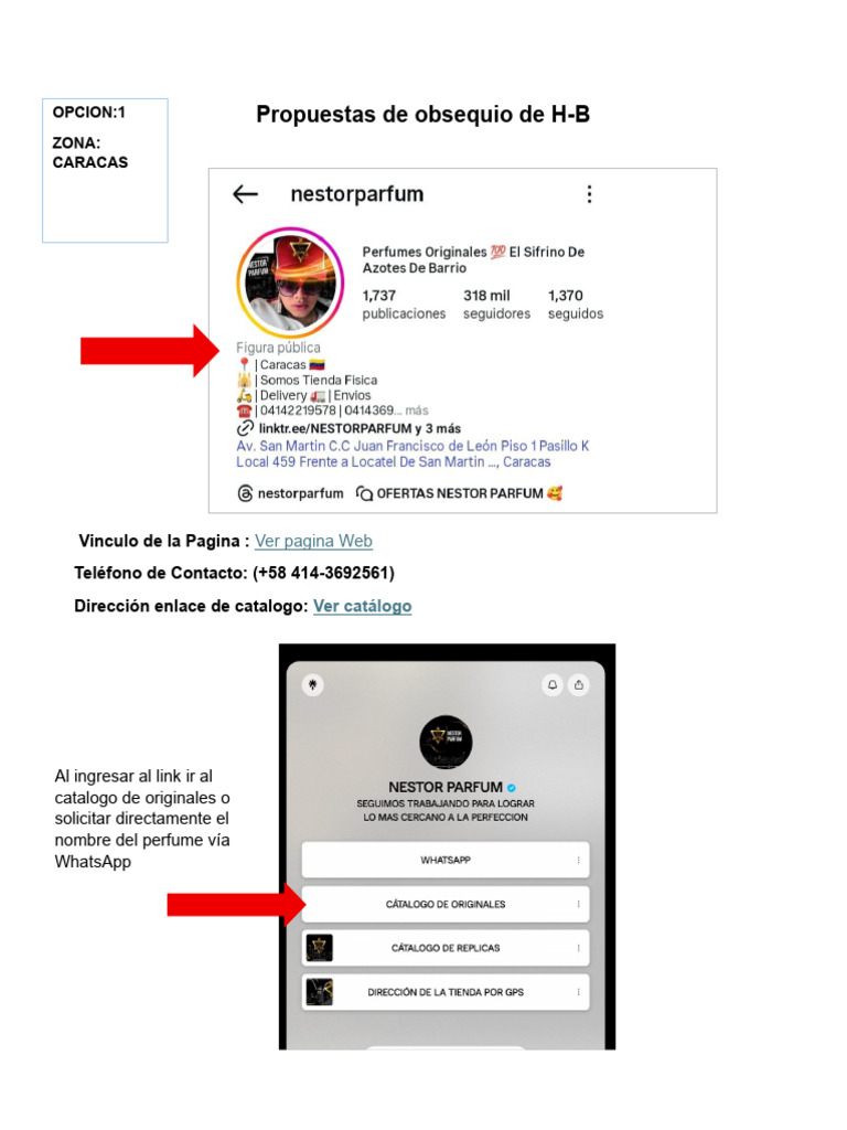 Propuestas de Obsequio de HB XS | PDF
