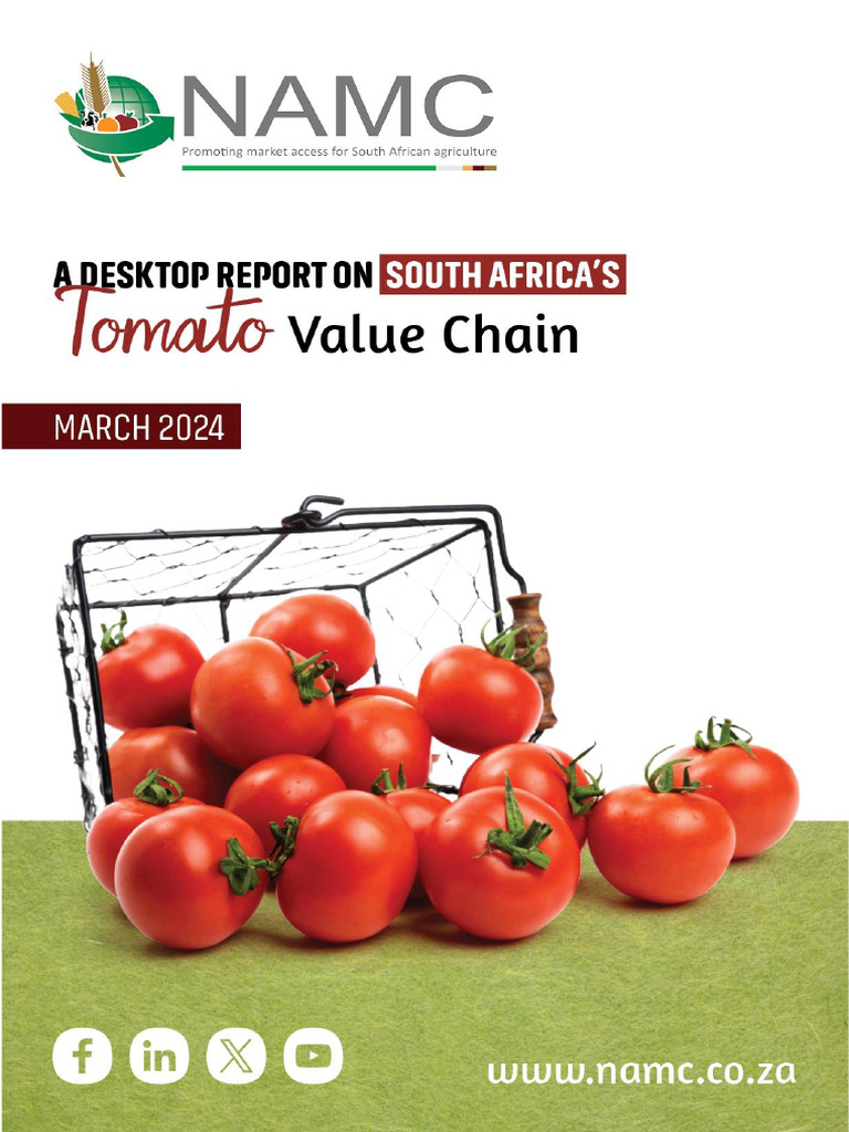 South Africa Tomato Value Chain Analysis | PDF | Agriculture | Vegetables