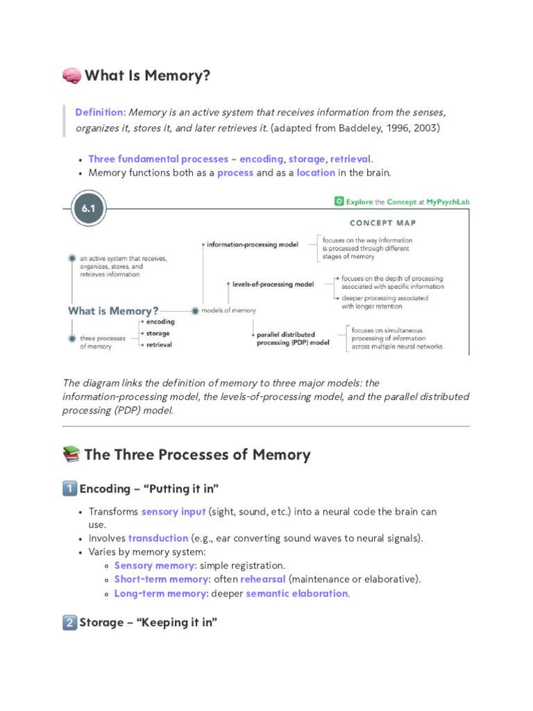 Memory Processes - Encoding, Storage, Retrieval | PDF | Memory ...