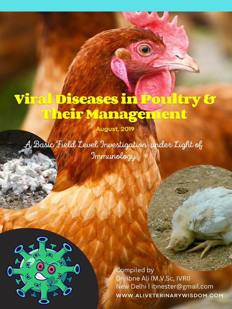 Viral Outbreaks in Poultry - Periscope of Immunology | PDF | T Cell | B ...