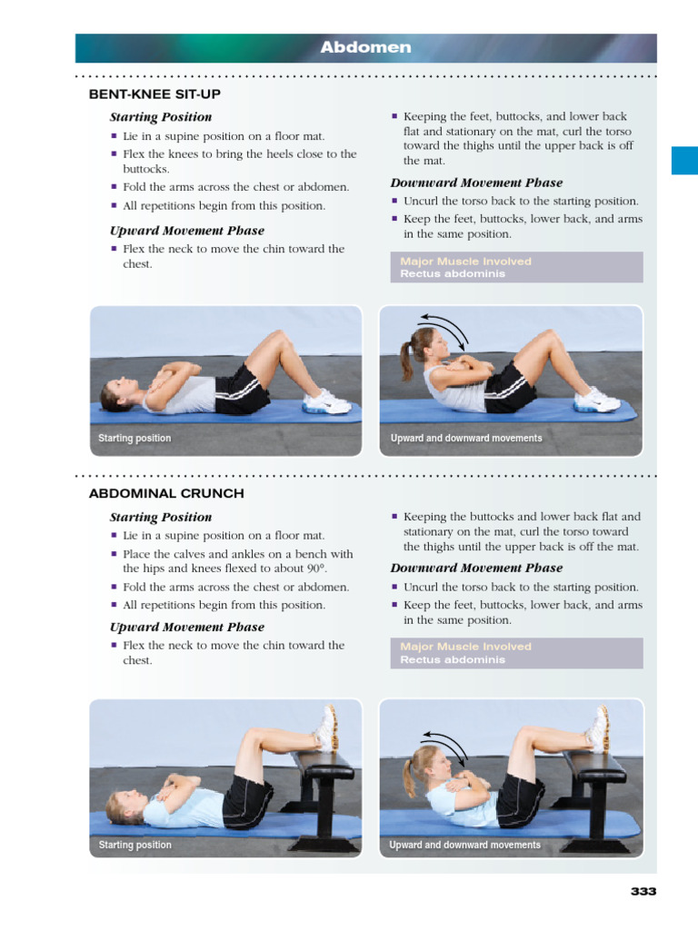 Essential Ab and Back Exercises Guide | PDF | Anatomical Terms Of ...