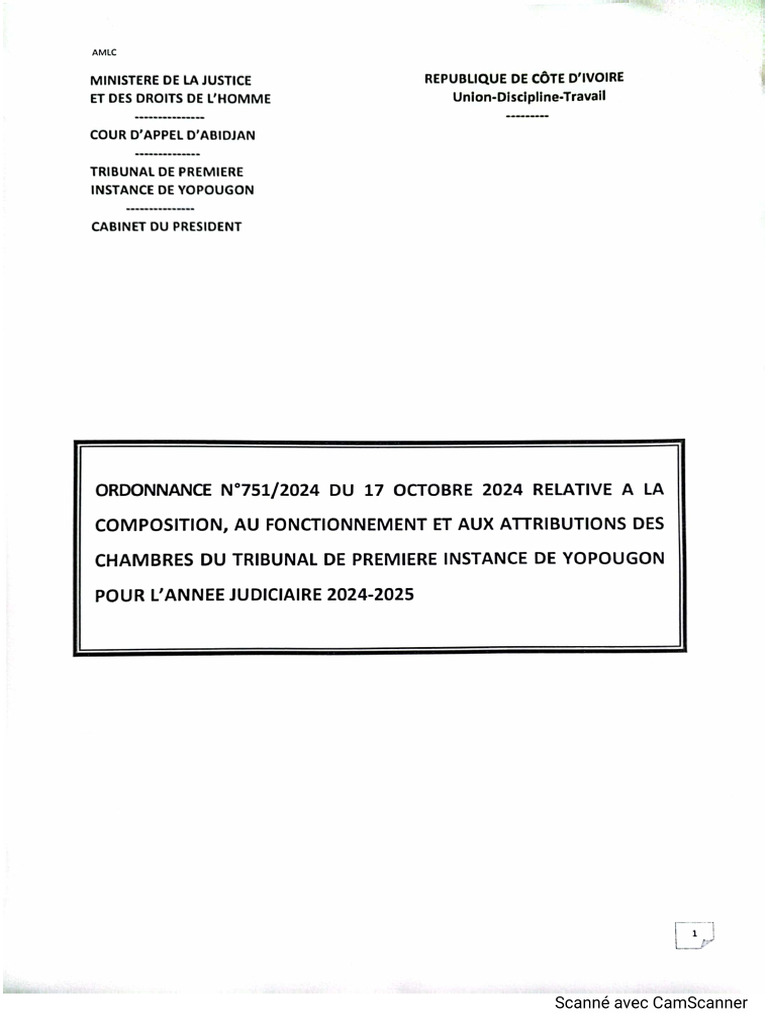 Ordonnance Judiciaire Tpi Yopougon 2024-2025 | PDF