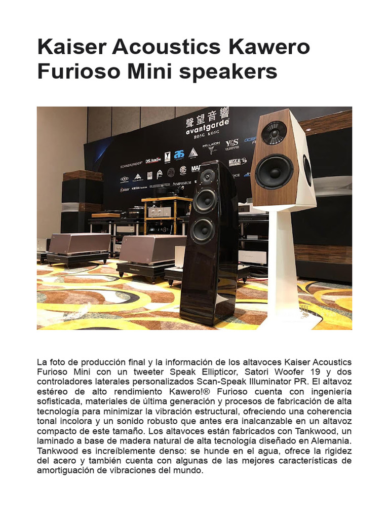 Kaiser Furioso Mini Review Mono Stereo | PDF
