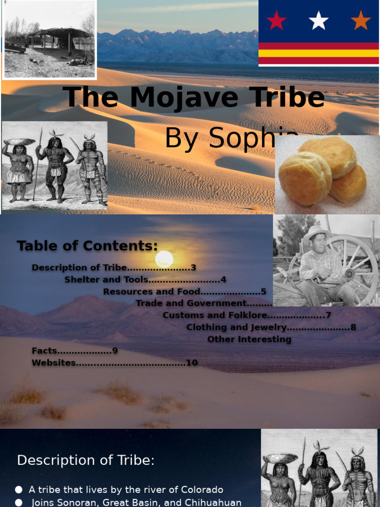Sophia Truong - Native American | PDF | Indigenous Peoples Of North America