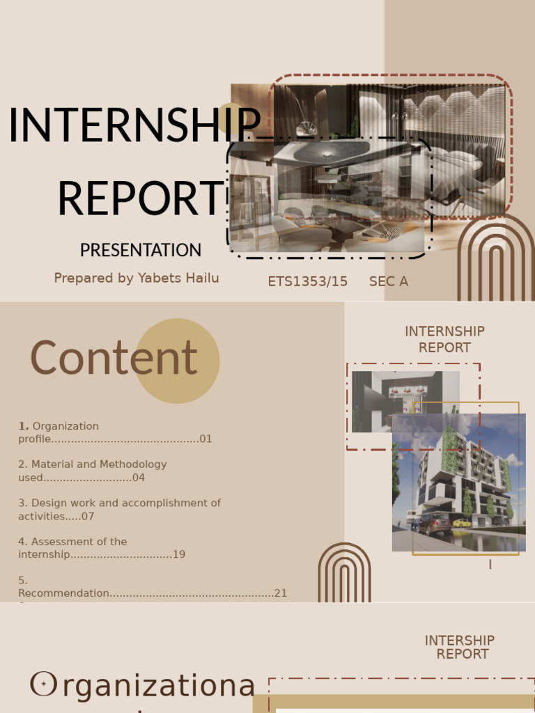 Internship Report: BIRNAD Consulting | PDF | Internship | Job Hunting